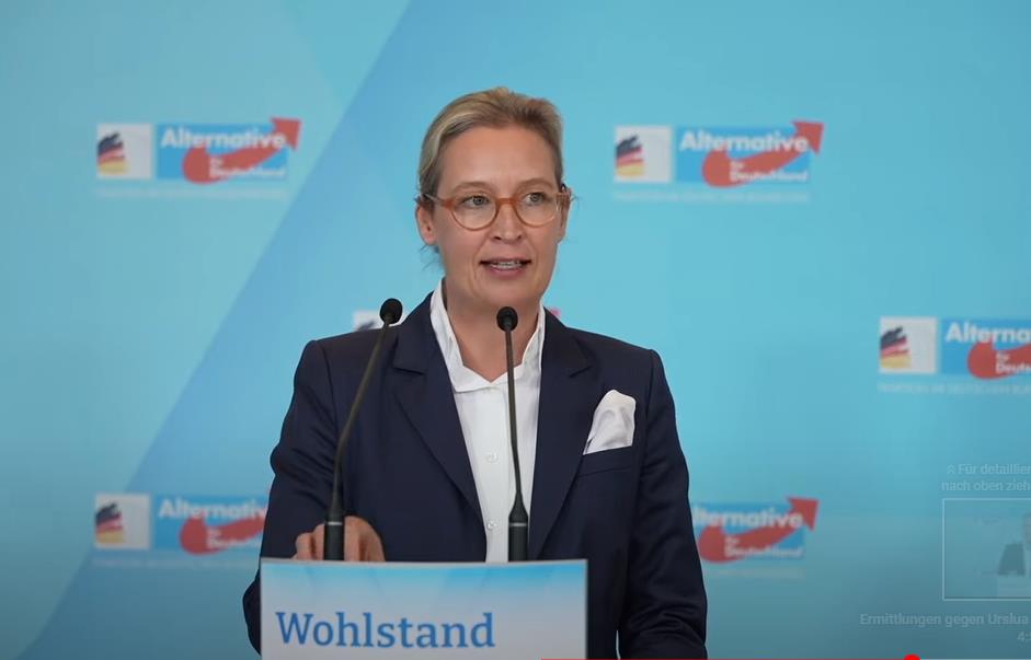 INSA-Umfrage zur Kanzlerwahl: Merz und Weidel haben die Nase vorn